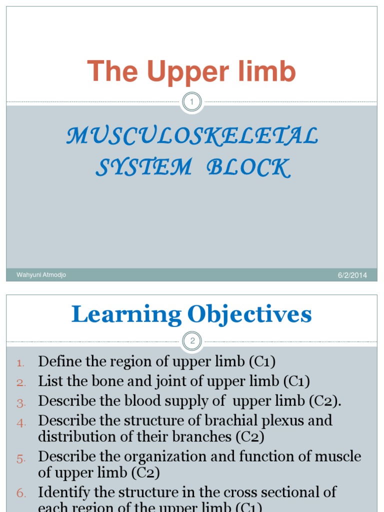 The Upper Limb: Musculoskeletal System Block | PDF | Nerve | Nervous System
