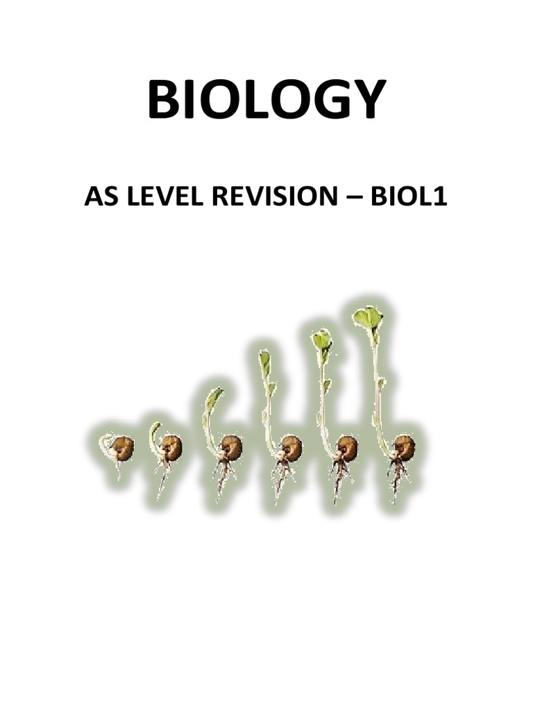 Biology UNIT 1 Revision Guide | PDF | Active Site | Endoplasmic Reticulum