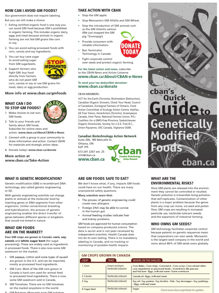 GM Flyer 2012 BW | Download Free PDF | Genetically Modified Food | Monsanto