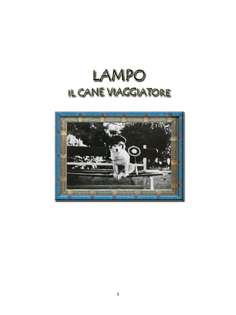 Lampo The Travelling Dog | PDF | Dogs | Transport