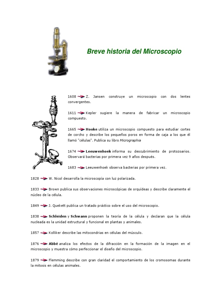 Breve Historia Del Microscopio | Microscopio | Fluorescencia