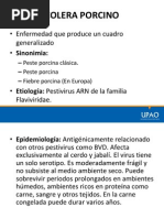 Lesiones Cutáneas en Cerdos | PDF | Piel | Enfermedades y trastornos