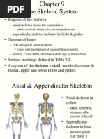 CH 8 Skeletal System Notes | PDF | Vertebra | Vertebral Column