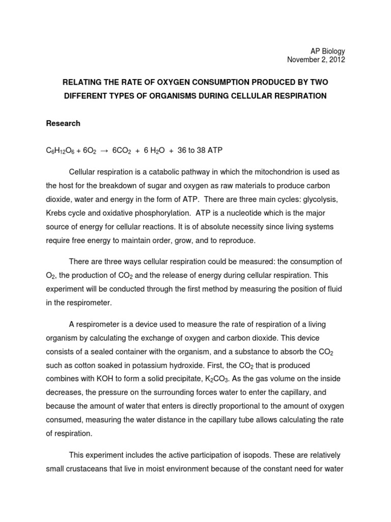 Portfolio Cellular Respiration Lab Report | PDF | Respiratory System ...