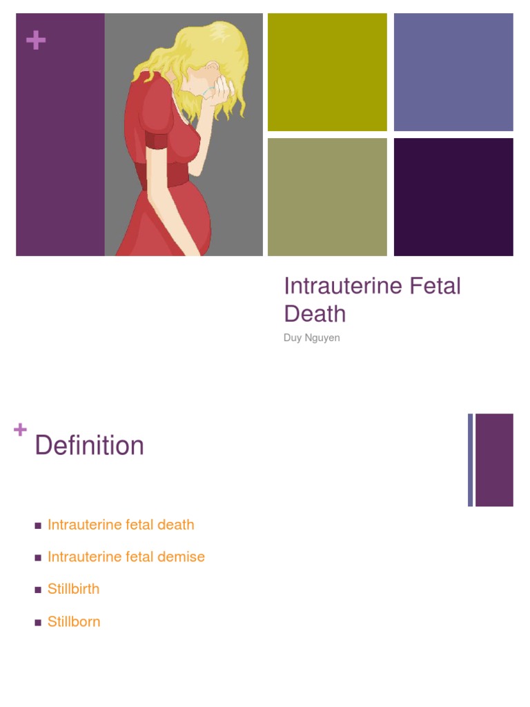 Intrauterine Fetal Demise | Fetus | Pregnancy