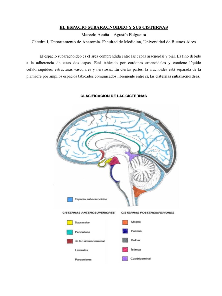Anatomía De La Cisterna Supraselar