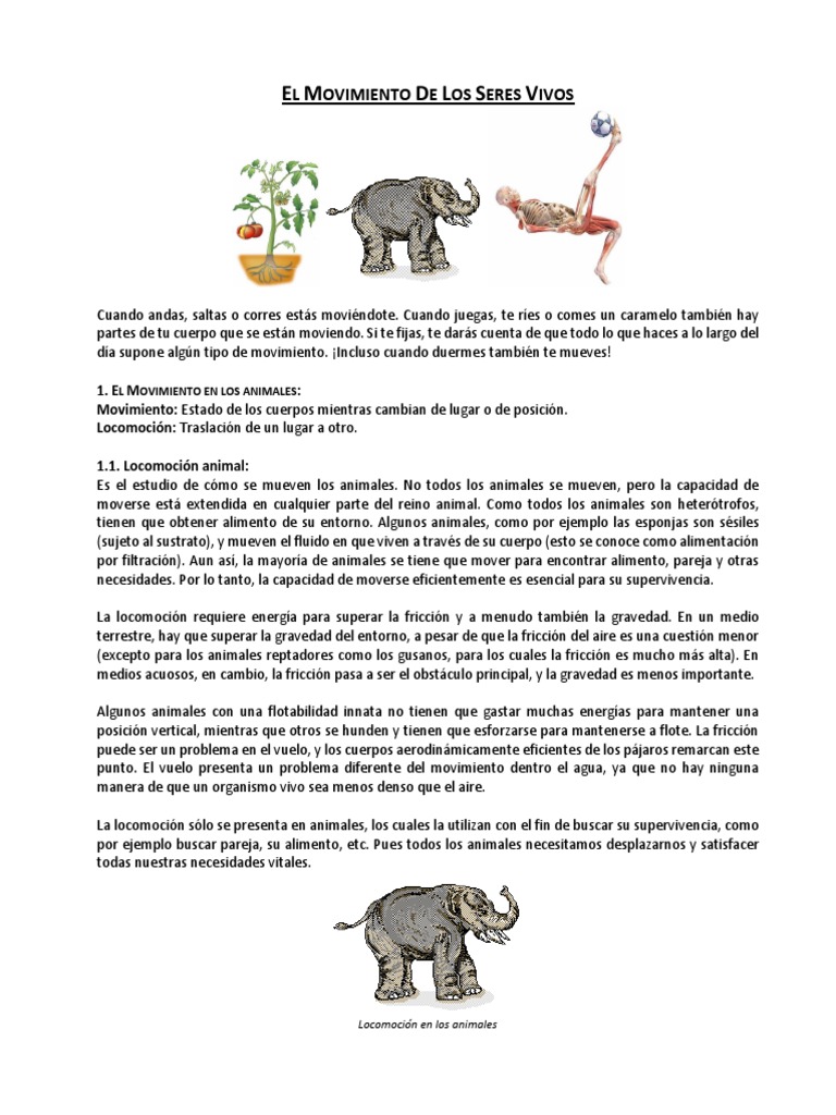 Movimiento de Seres Vivos: Animales y Plantas | PDF | Locomoción animal ...