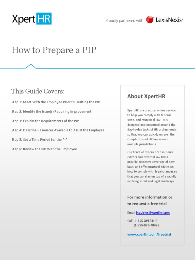 How To Prepare A PIP: This Guide Covers | PDF | Employment | Government