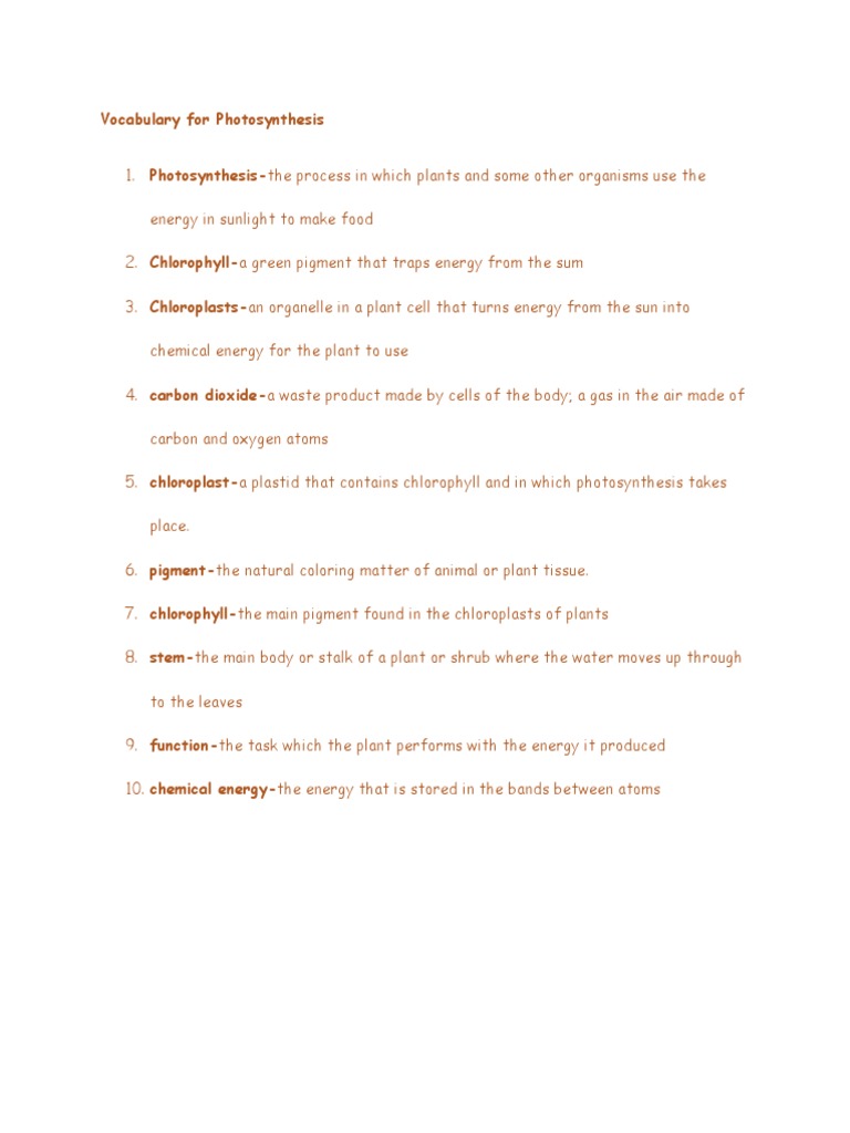Photosynthesis Vocabulary Guide | PDF | Science & Mathematics