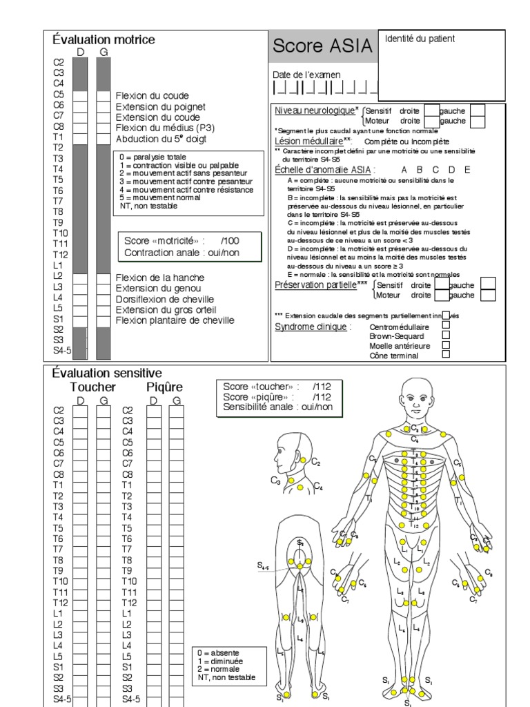 Asia Score | PDF | Membres (anatomie) | Système nerveux