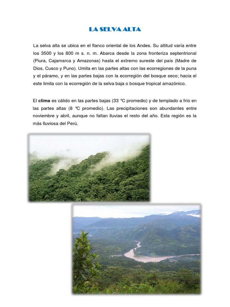La Selva Alta | PDF | Selva amazónica | Selva