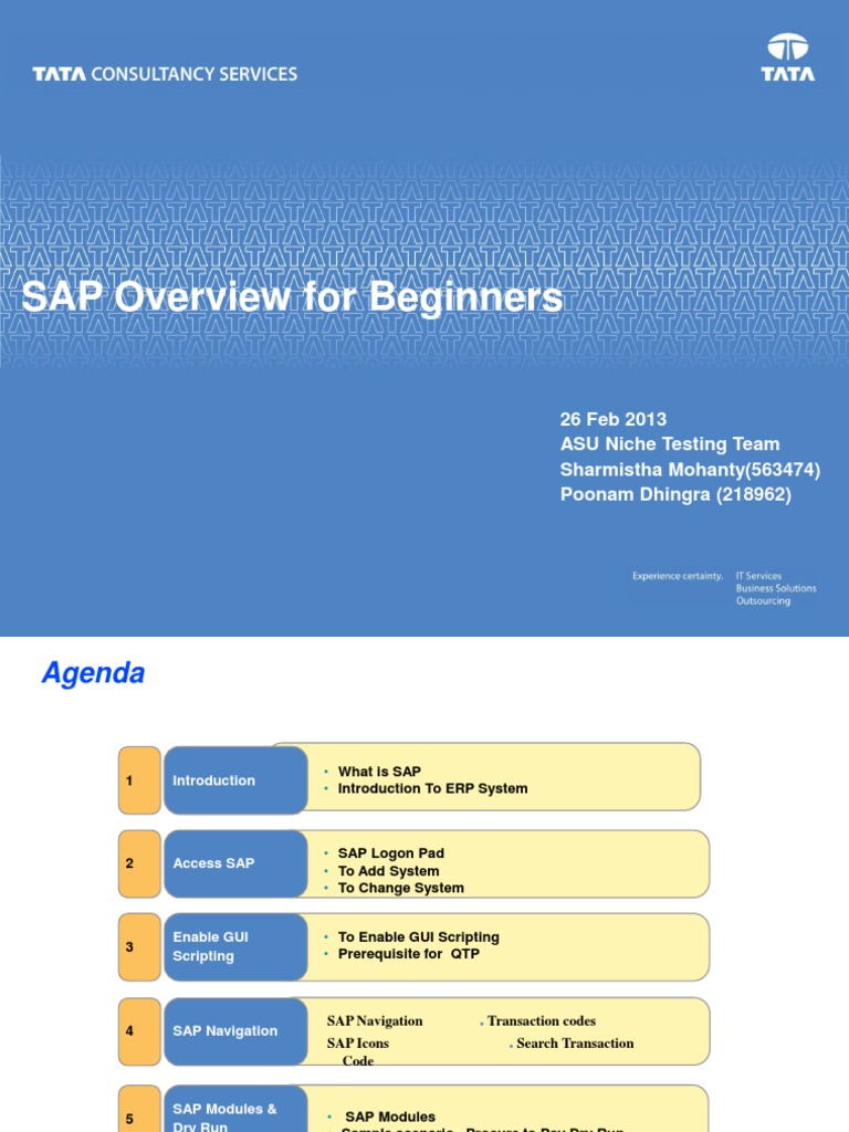SAP Basics: A Beginner's Guide | PDF