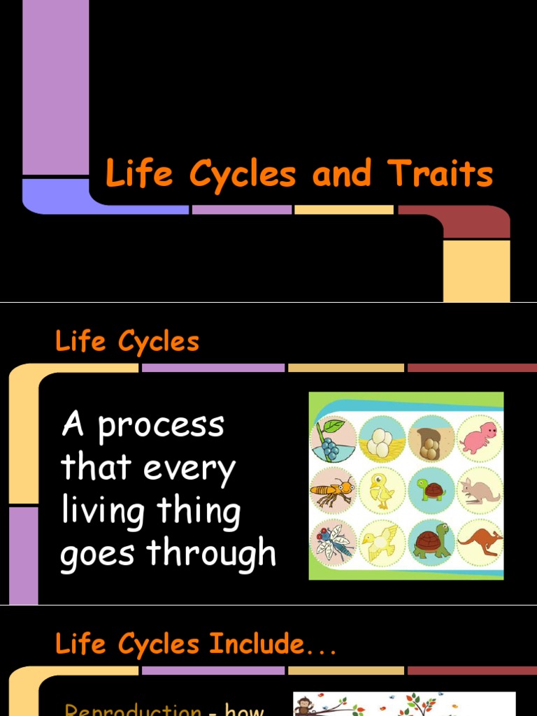 Understanding Life Cycles and Traits | PDF