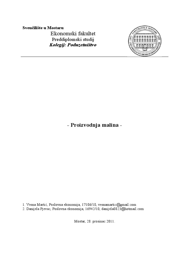 Poslovni Plan | PDF