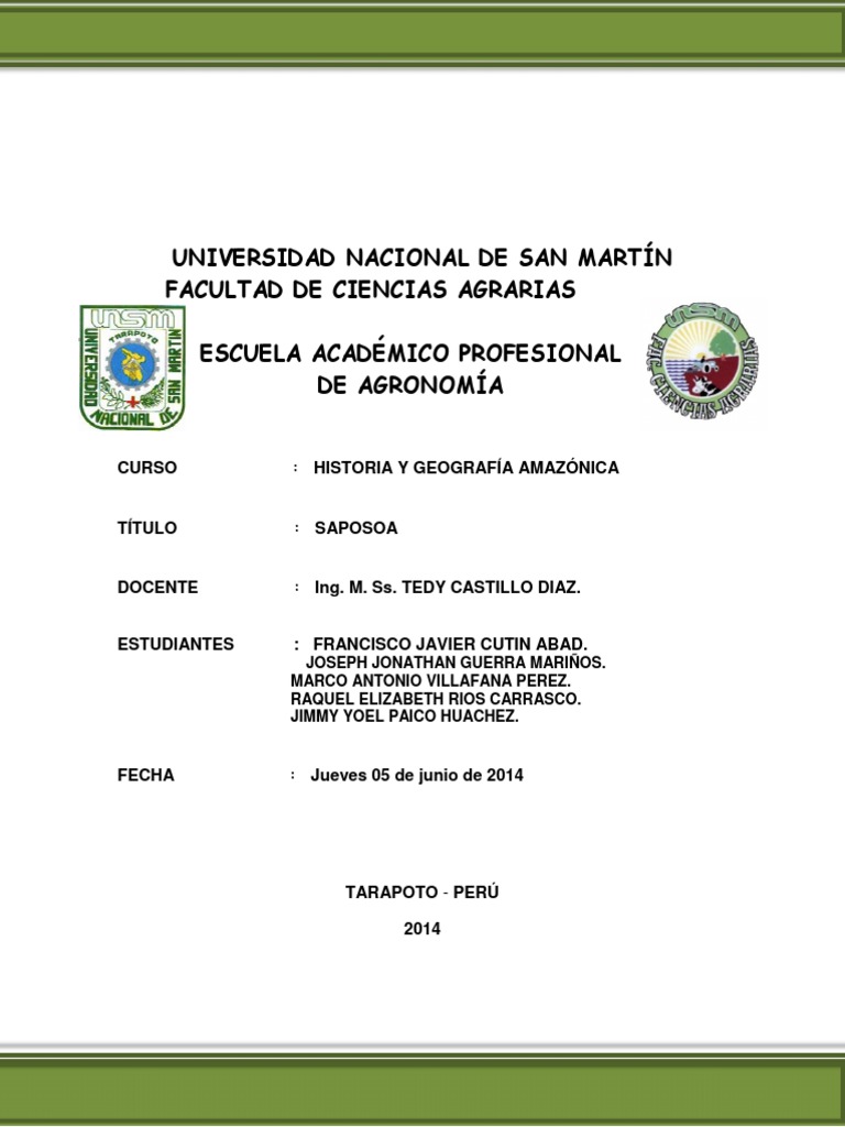 Historia y Cultura de Saposoa | PDF | Imperio Inca | Perú