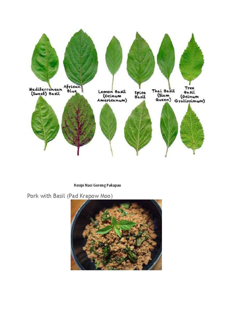 Resipi Nasi Goreng Pakapau | PDF