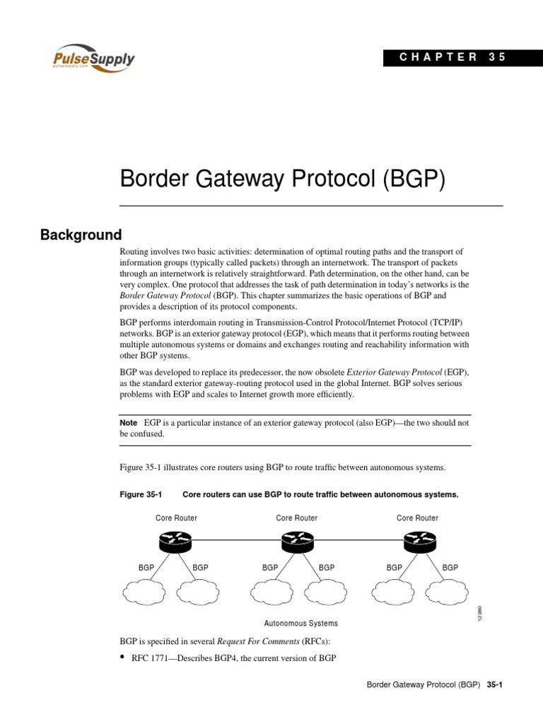 BGP Packet Format | PDF | Routing | Router (Computing)