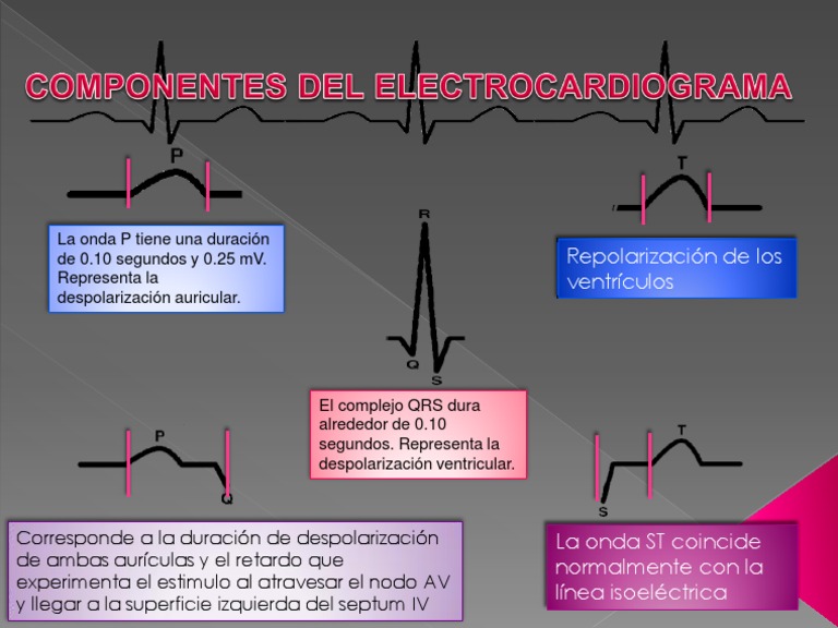 Componentes Del Ekg | PDF | Arte
