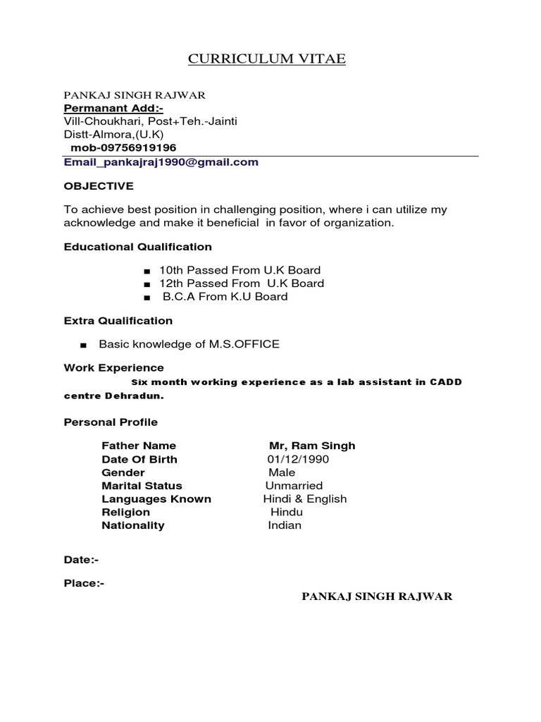 Curriculum Vitae: Month Working Experience As A Lab Assistant in CADD ...