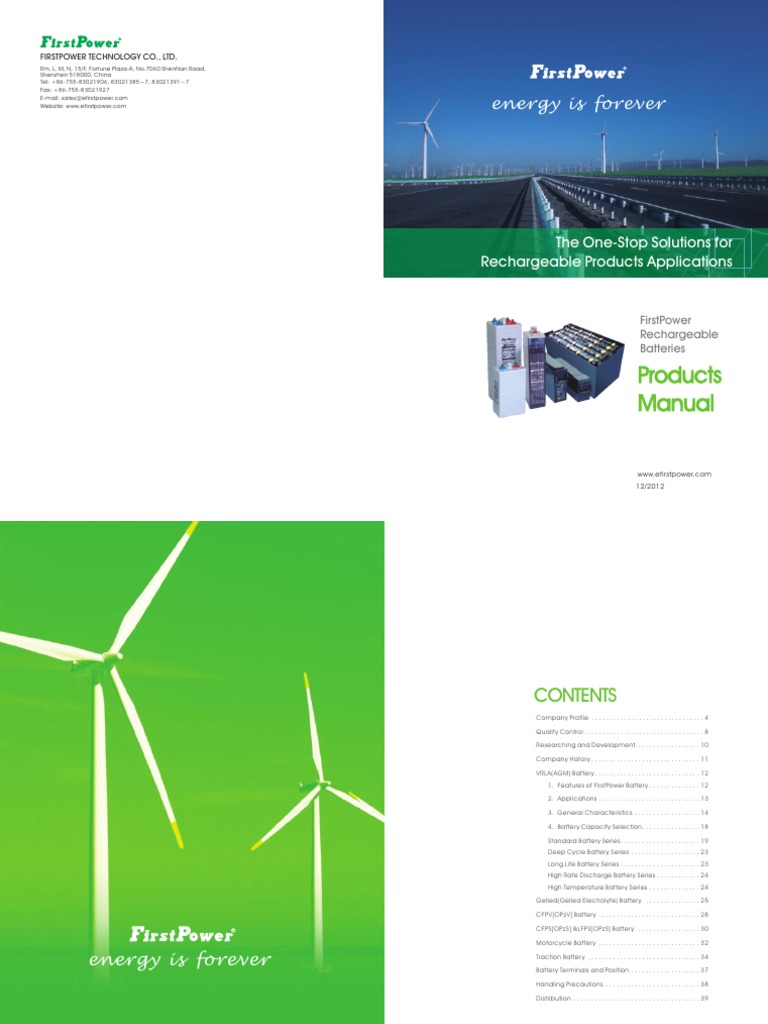 FirstPower Rechargeable Battery Overview | PDF | Battery (Electricity ...