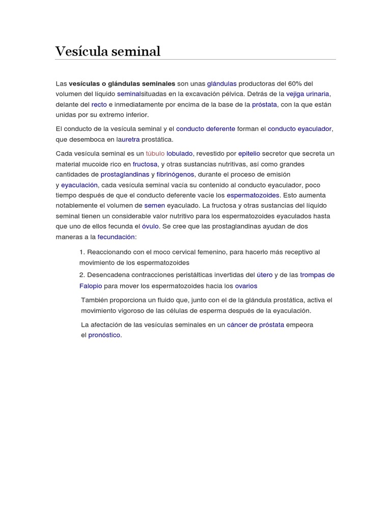 Función y anatomía de vesículas seminales | PDF | Semen | Urología