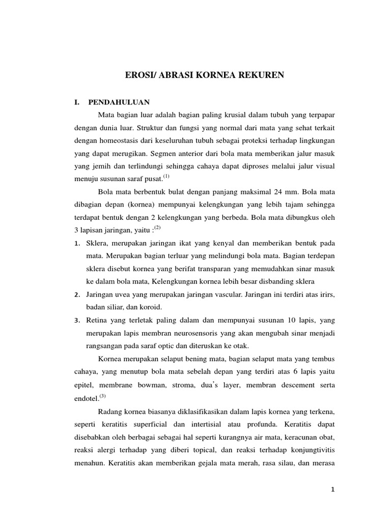 Erosi Kornea Rekuren | PDF