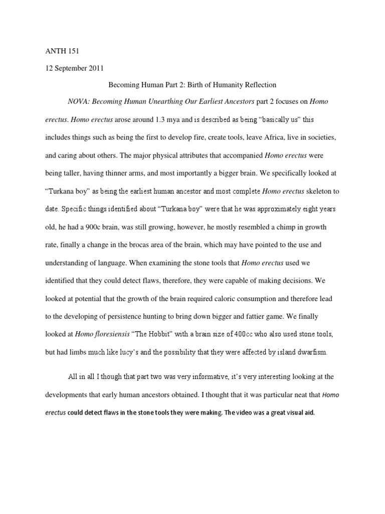 Birth of Humanity Reflection | PDF