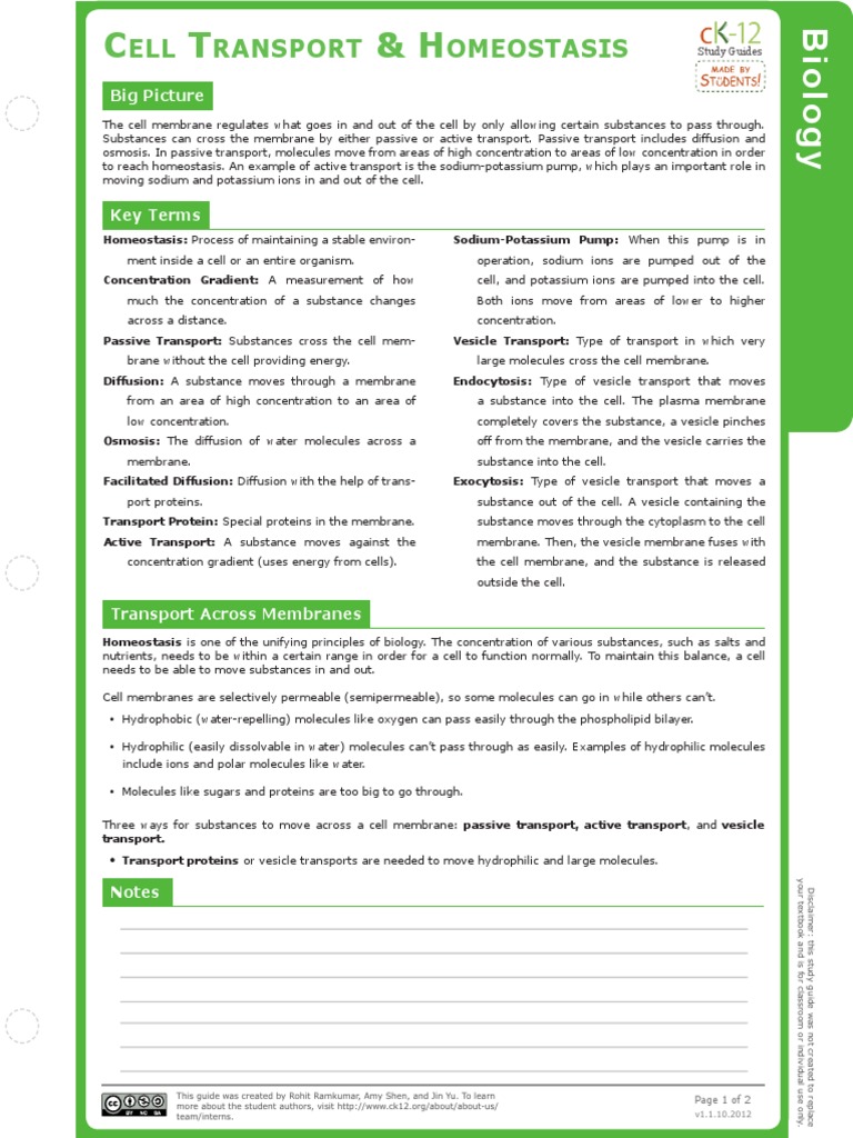 Cell Transport and Homeostasis | PDF | Cell Membrane | Biophysics