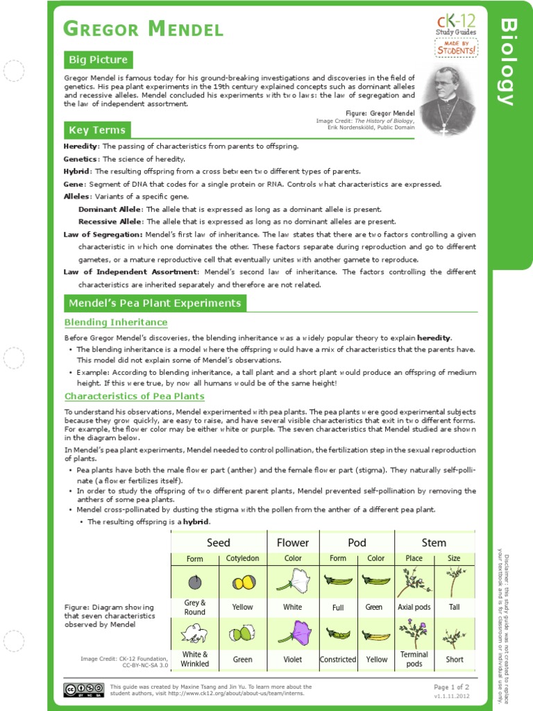 Gregor Mendel | PDF | Heredity | Biological Interactions