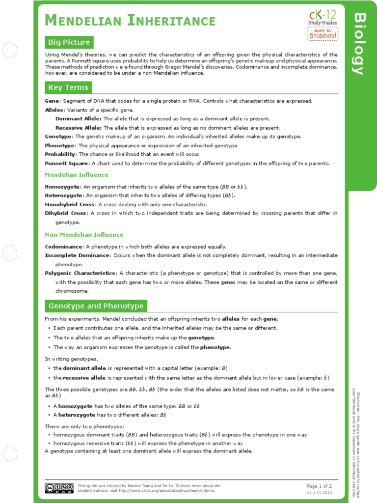 Mendelian Inheritance | PDF | Dominance (Genetics) | Allele