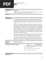 Jorge Masetti de Periodista A Comandante Guerrillero | PDF | Che ...