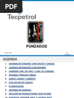 Open Wells | PDF | Programa de computadora | Programación