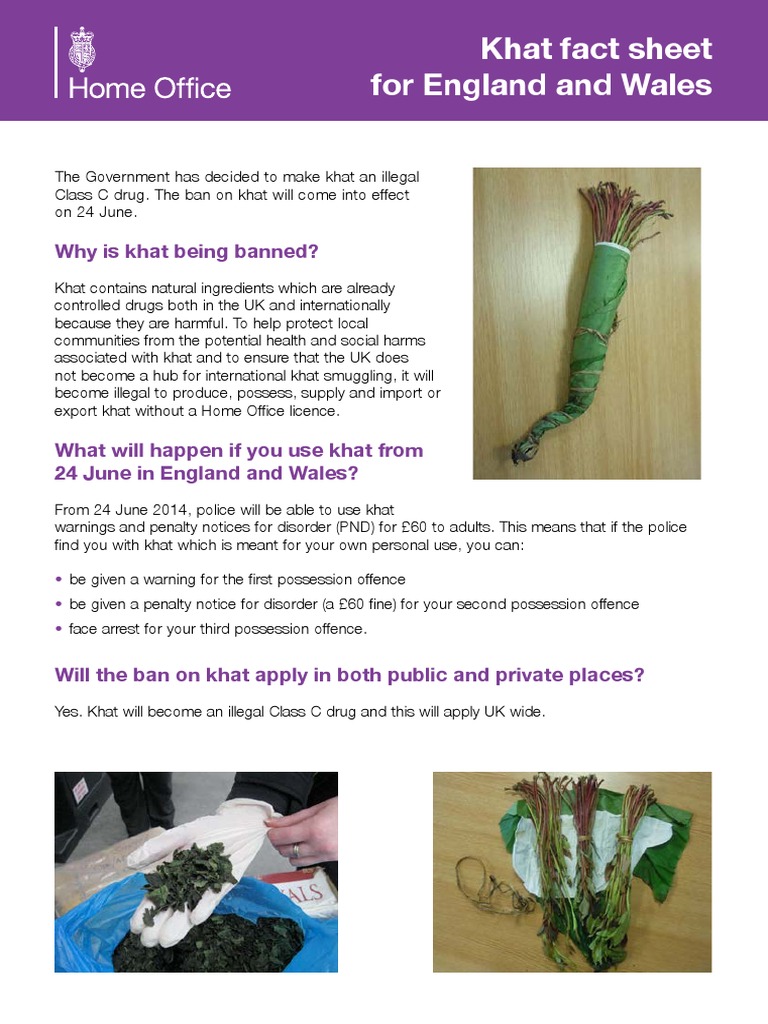 Khat Fact Sheet - English | PDF | Crime & Violence | Crime Thriller