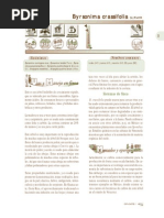 El Mamon en Venezuela | PDF | Alimentos | Plantas comestibles
