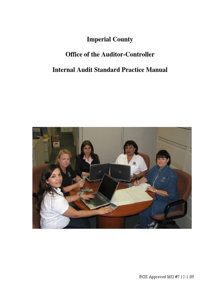 Audit Manual 011910 | PDF | Financial Audit | Audit