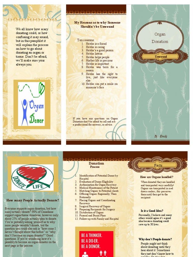 Reasons to Support Organ Donation | PDF