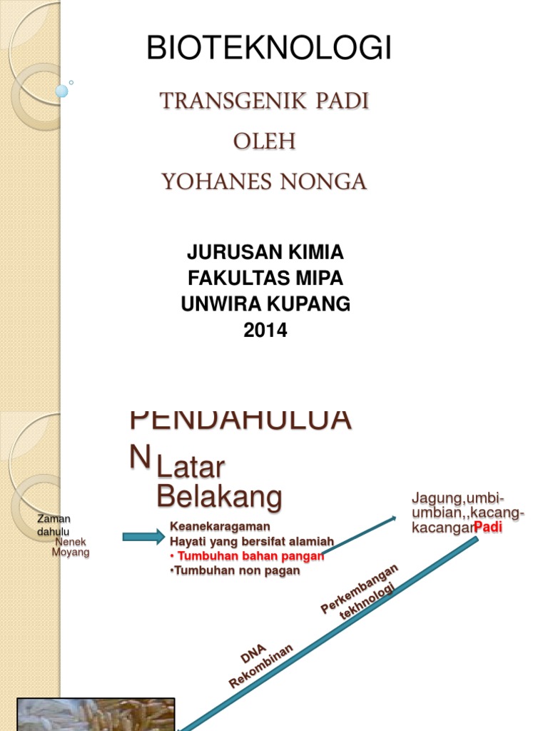 Transgenik Padi | PDF