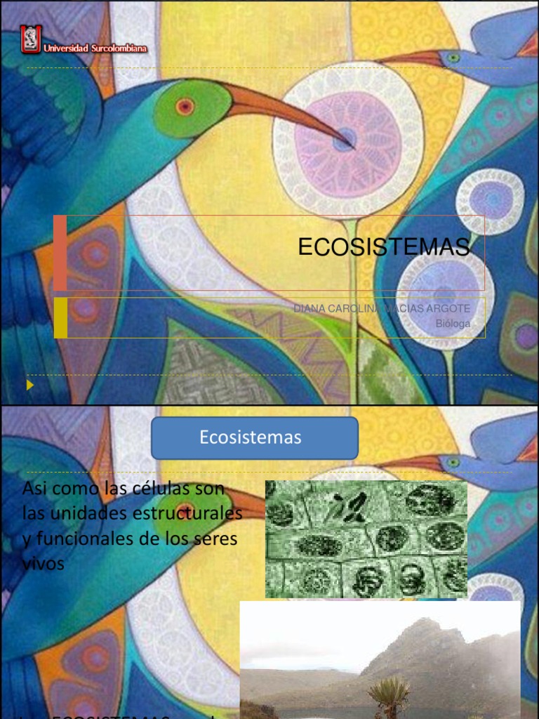 Presentacion ECOSISTEMAS | PDF | Ecosistema | Ecología