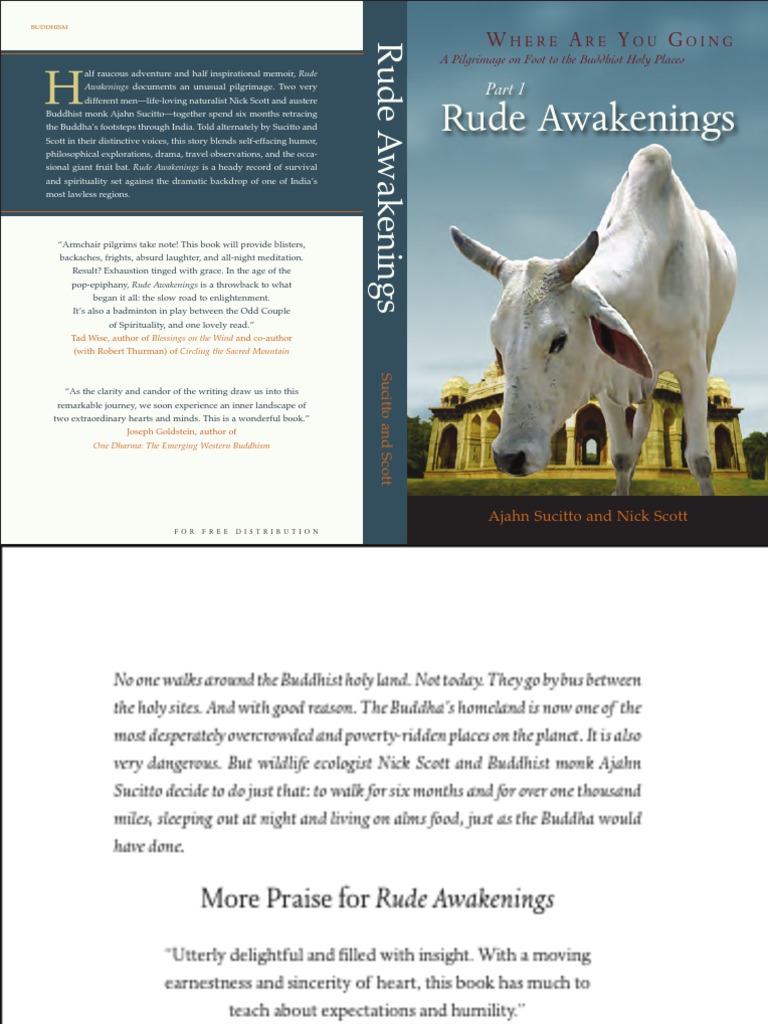 Rude Awakenings Web | PDF | Religion And Belief