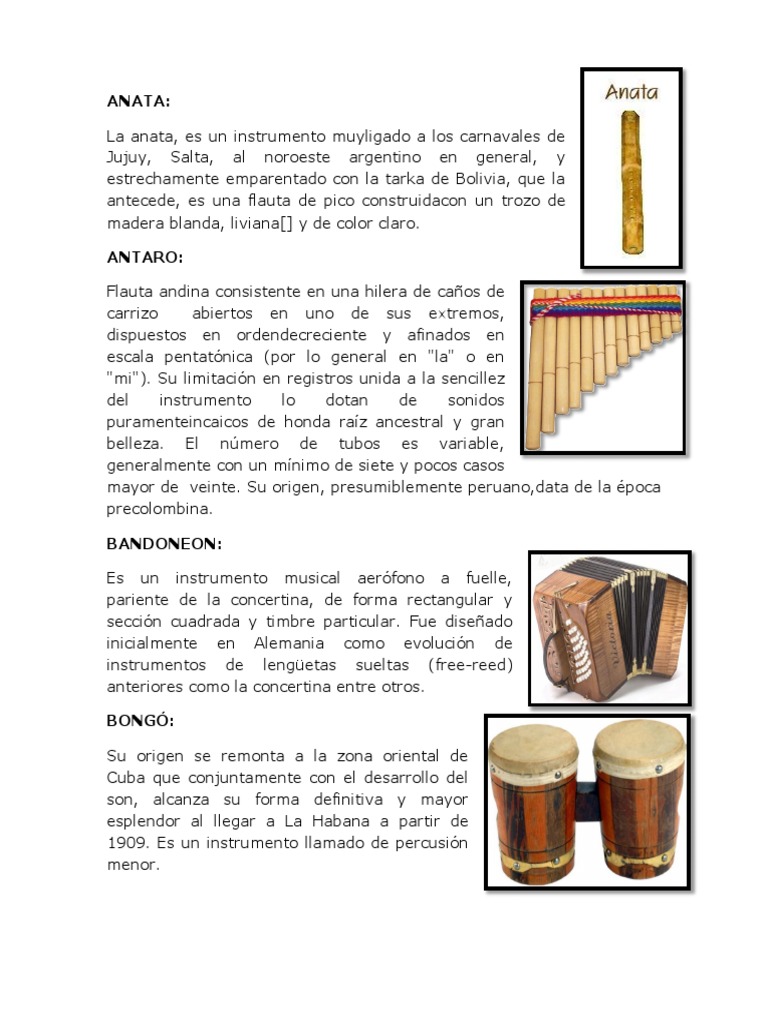 Instrumentos Autoctonos de Centroamerica | PDF