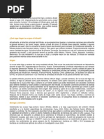 Sistema de Producción de Leche en Granjas Bovinas Familiares | PDF | Vacas | Leche