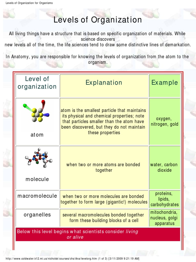 Levels of Organization For Organisms | PDF