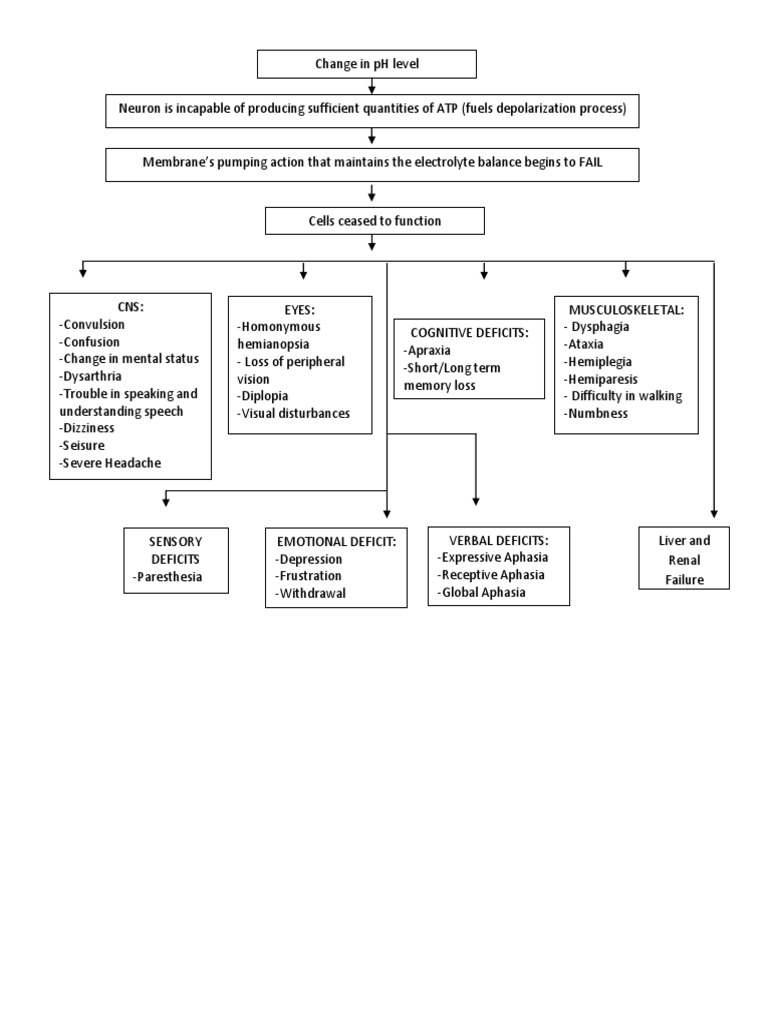 Cva PDF
