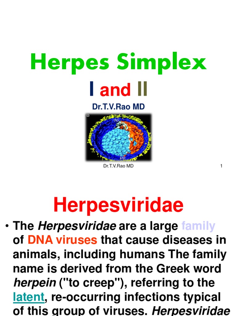 Herpes Simplex I and II | PDF | Virus | Virology