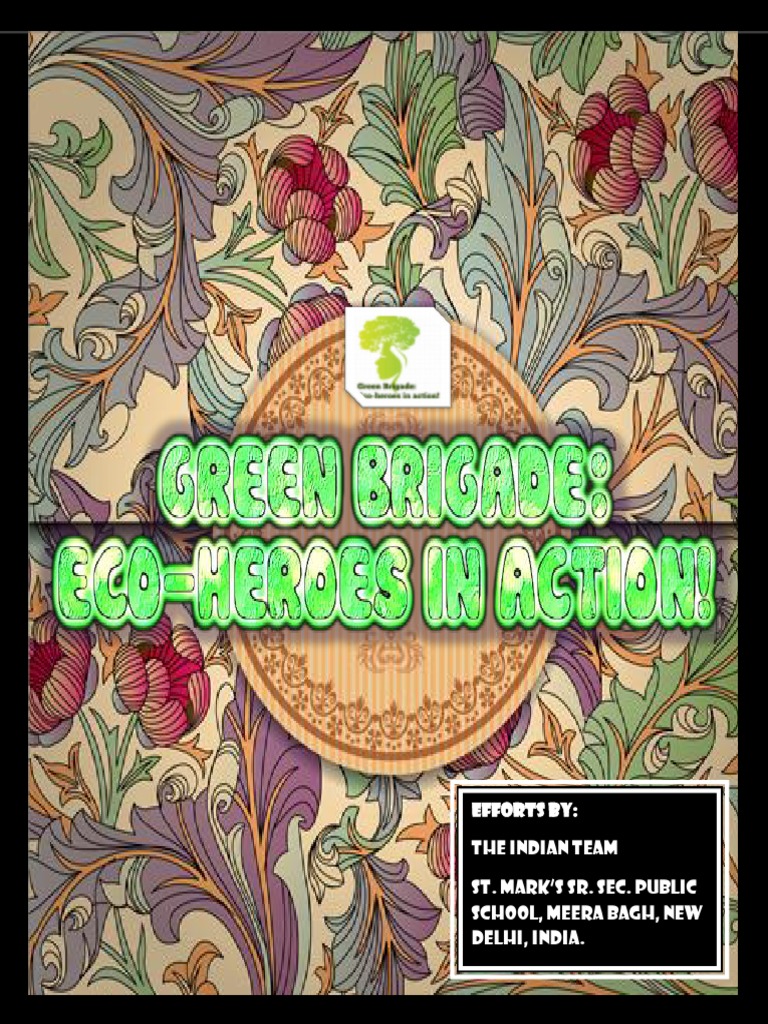 Eco-Heroes in Action Magazine | PDF | Natural Environment | Conservation