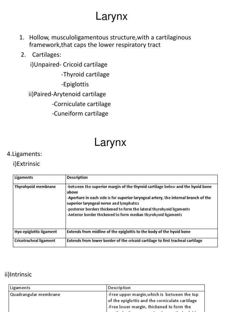 Larynx (Anatomy, Laryngomalacia, Laryngeal Web) | PDF | Larynx | Animal ...