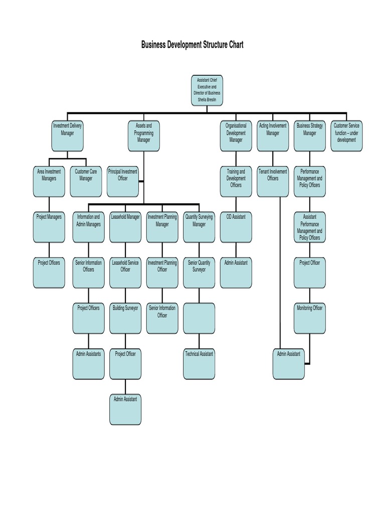 Business Development Divisional Structure Chart | PDF | Economies ...