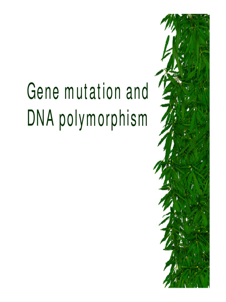 Gene Mutation and DNA Polymorphism | PDF | Mutation | Point Mutation