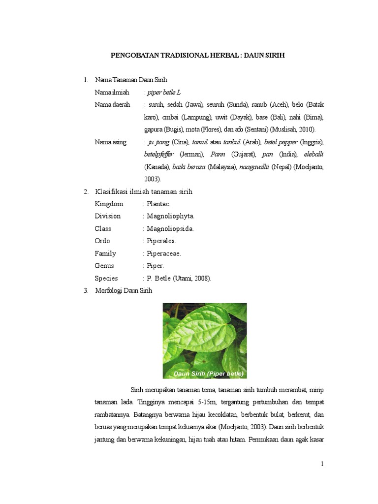 Daun Sirih | PDF