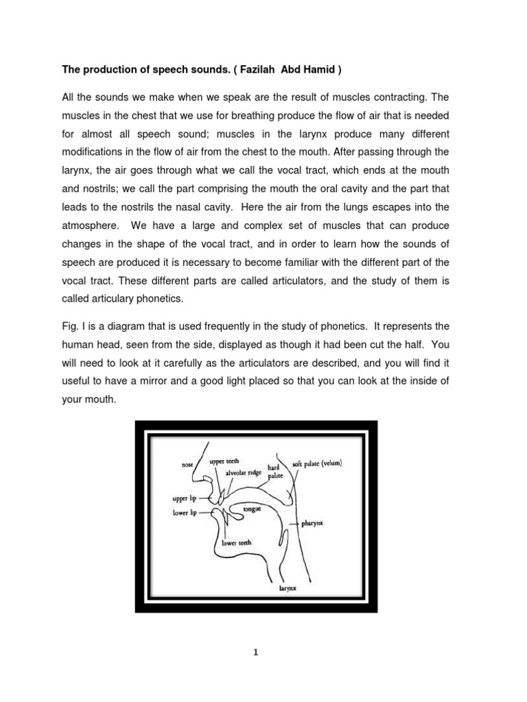 The Production of Speech Sounds (Final) | PDF | Vowel | Phoneme